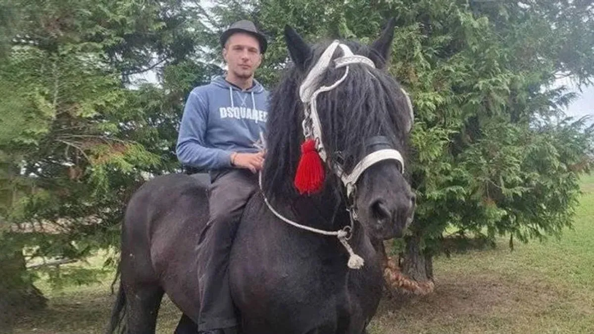 Admir je uz djeda Ševala zavolio konje: Priča o mladiću iz BiH koji ...